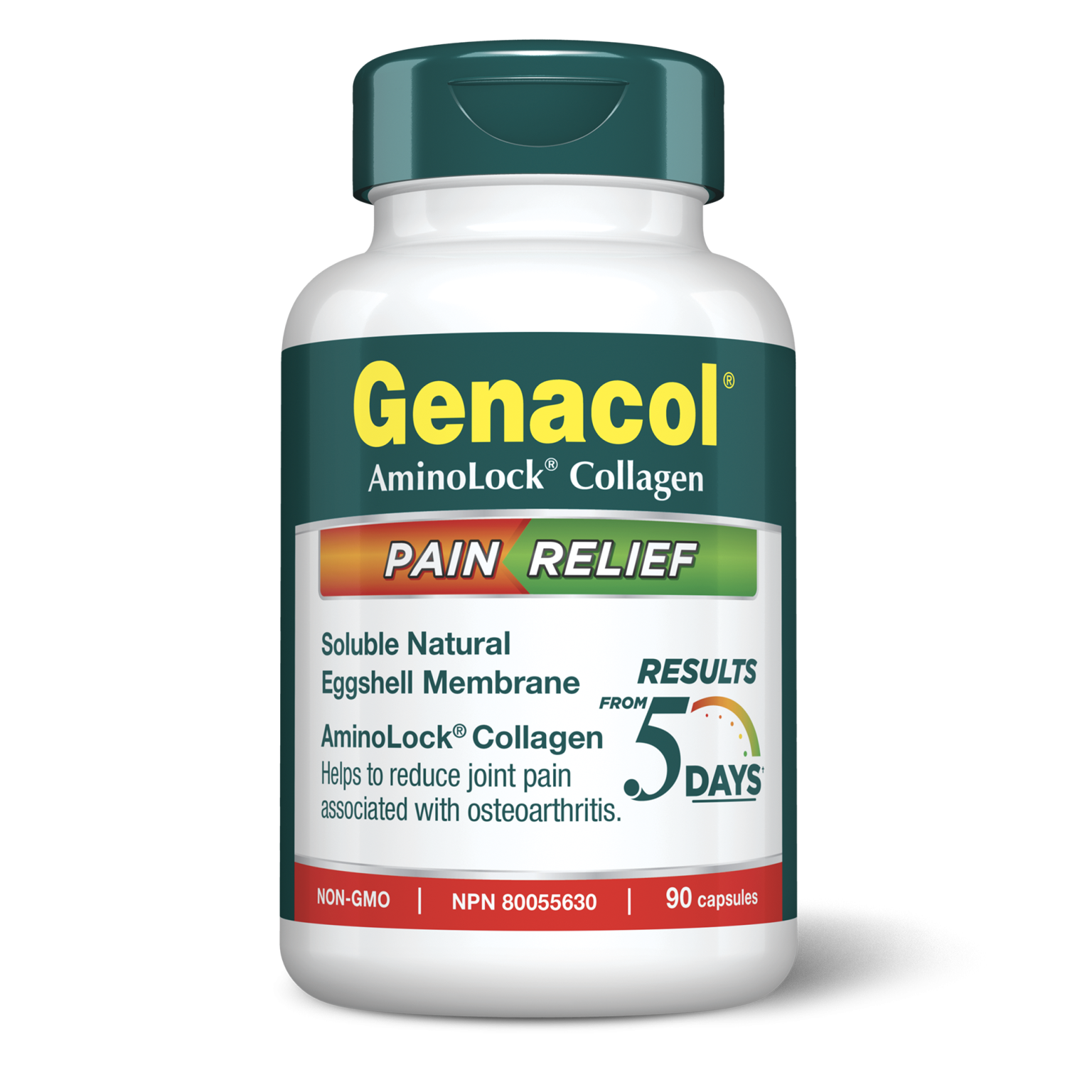 Eggshell membrane: everything you need to know about this precious ally ...